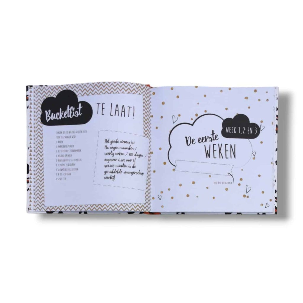 Mijn negen maanden invulboek - Nijos